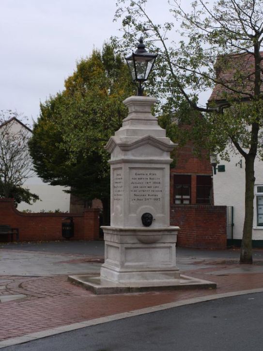 Captain Webb Memorial Images : Dawley Heritage