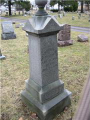 Captain Matthew Webb : Dawley Heritage